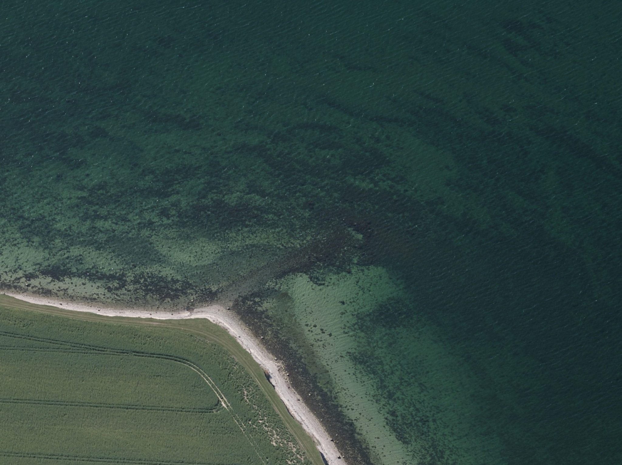 Wedellsborg hoved - Fluefiskersiden