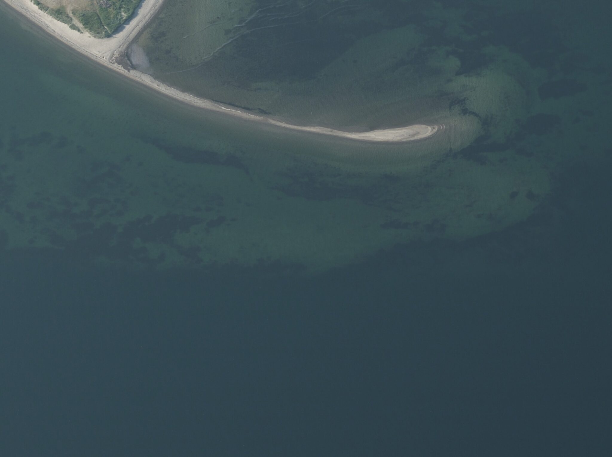 Skarrev - Fluefiskersiden